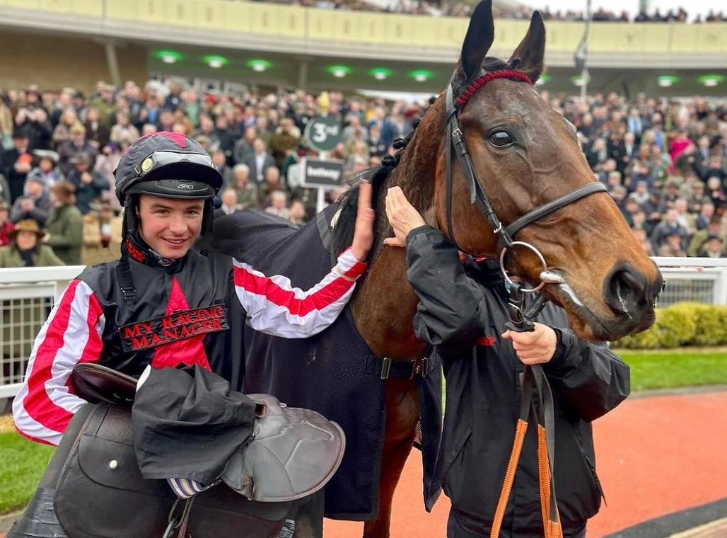 Venetia's Funambule Sivola takes third in Queen Mother's Chase | theforester.co.uk